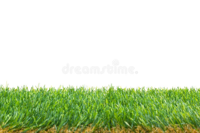 Grass Bottom Border Frame Isolated White Background Stock Photos ...