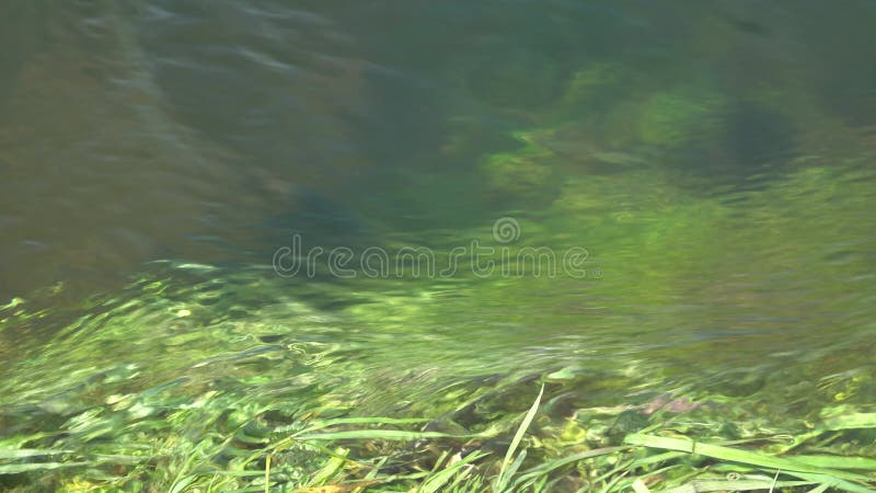 Strong Flow of Water Entering Drainage Channel. Stock Video - Video of ...