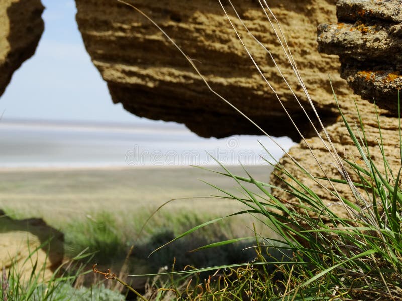 Life Breaks Even on the Rocks Stock Photo - Image of bark, wall: 106737752