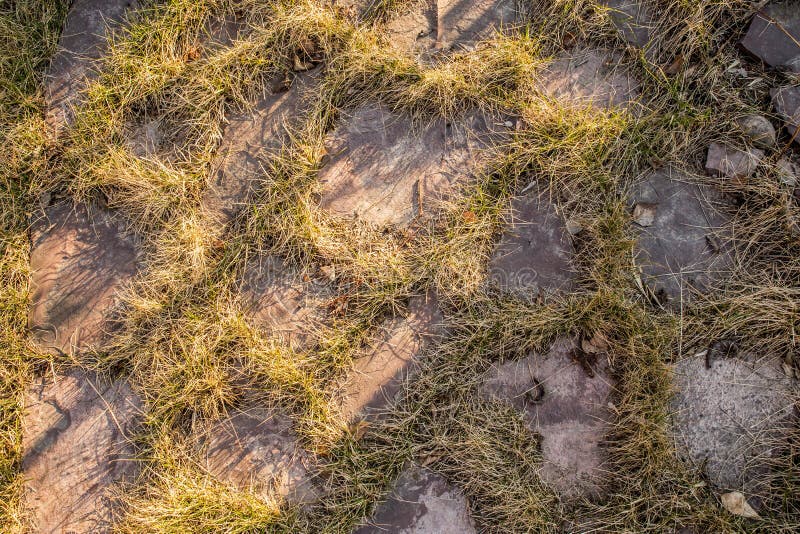 The Grass Breaks through the Natural Stone Slabs Stock Image - Image of ...