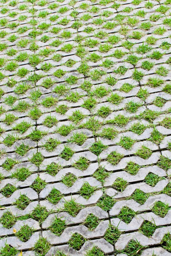 Grass and brick stock image. Image of backdrop, backgrounds - 27912673
