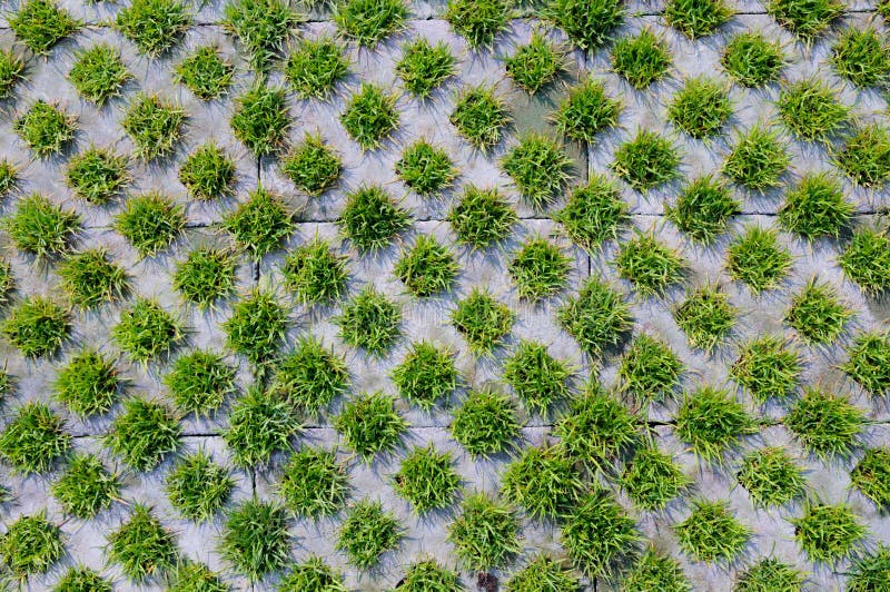 120,126 Grass Brick Stock Photos - Free & Royalty-Free Stock Photos ...
