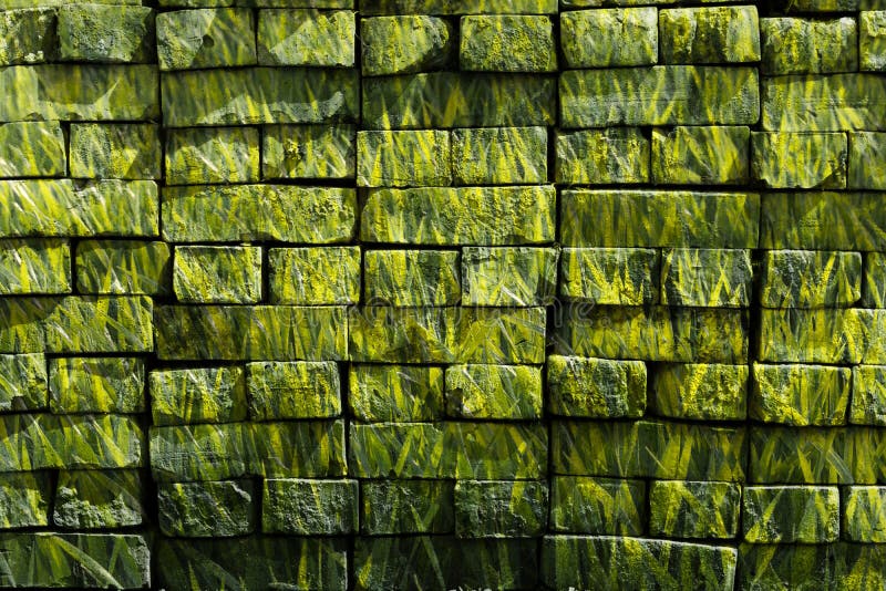 Grass bricks stock photo. Image of friendly, grass, garden - 90526860