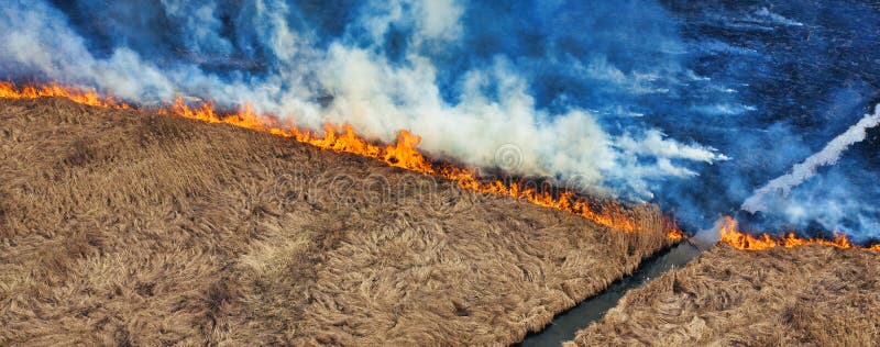 The Grass is Burning in the Fields. Stock Photo - Image of black ...