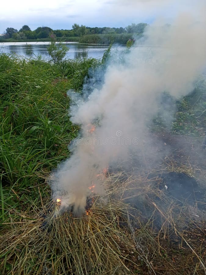 Grass is Burning in Nature Near the River, Fire, Smoke and Fire are ...