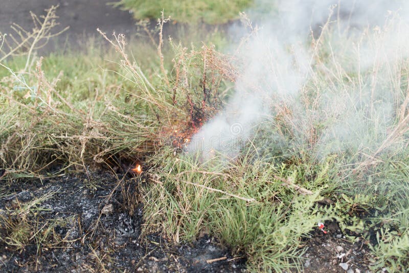Grass burning in nature stock photo. Image of flame - 108711104