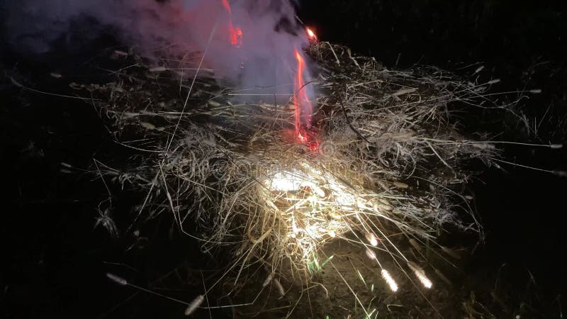 The Grass Burns Like a Fire in the Village at Night Stock Video - Video ...