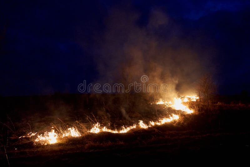 Grass Burns at Night,arson of Dry Grass at Night on the Mountain, Fire ...