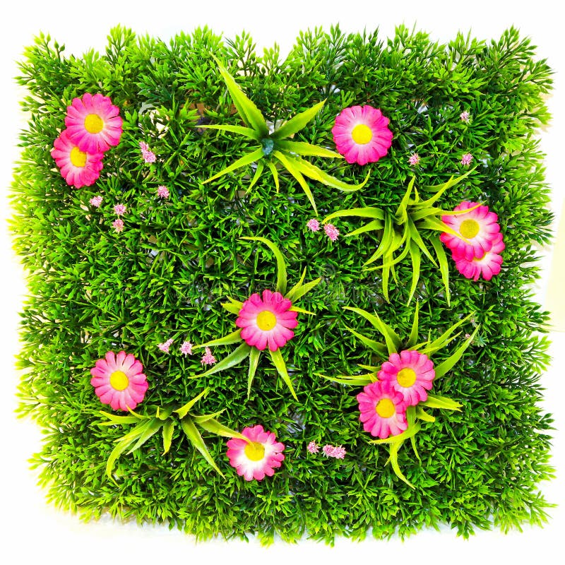 Grass bush stock photo. Image of grass, floral, nature - 14043572