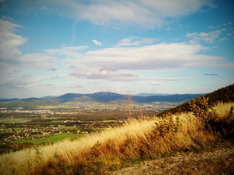 Grass bush mountain stock image. Image of grass, dawn - 193939093