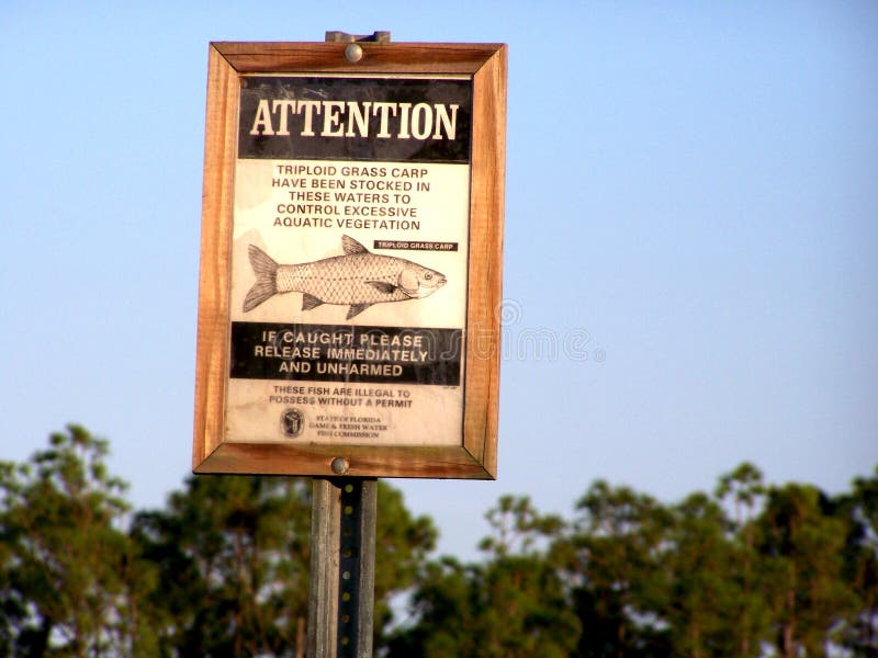 Grass Carp Sign Picture. Image: 4552706
