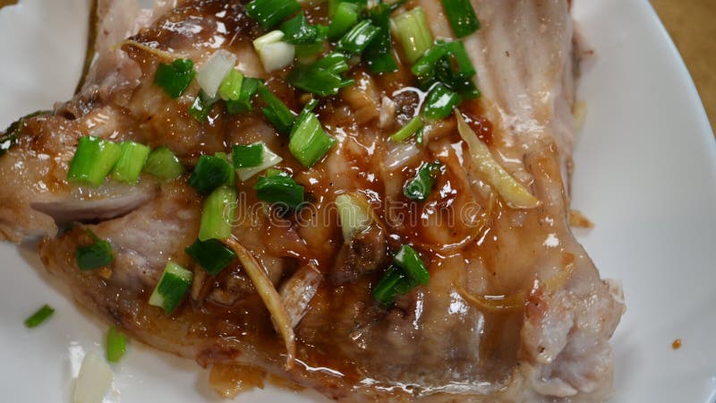 Grass Carp White Amur Gardd Carp Fish Belly Stock Footage - Video of ...