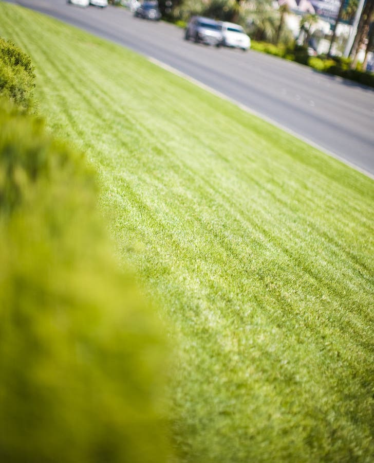 Grass And Cars Picture. Image: 5185400