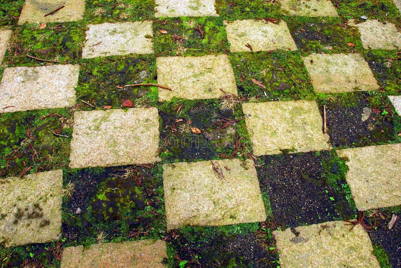 594 Checkerboard Grass Stock Photos - Free & Royalty-Free Stock Photos ...