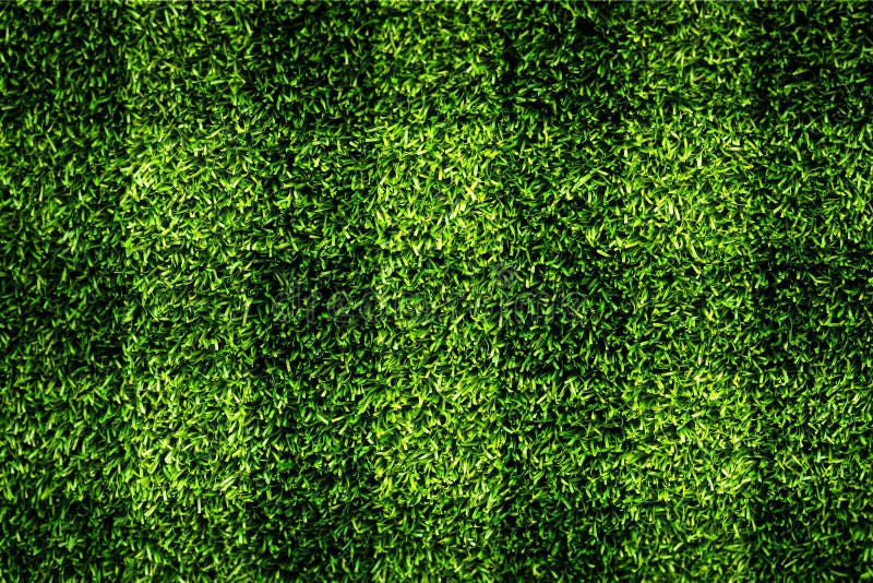 Grass Checkered stock photo. Image of backdrop, blade - 25739716