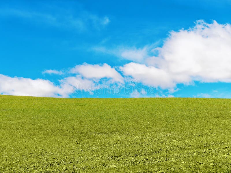 Grass Clean Blue Sky Beautiful Landscape Stock Photo - Image of ...