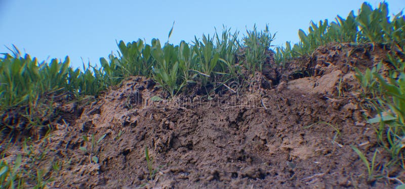 The grass in the cliff stock photo. Image of panorama - 215220312