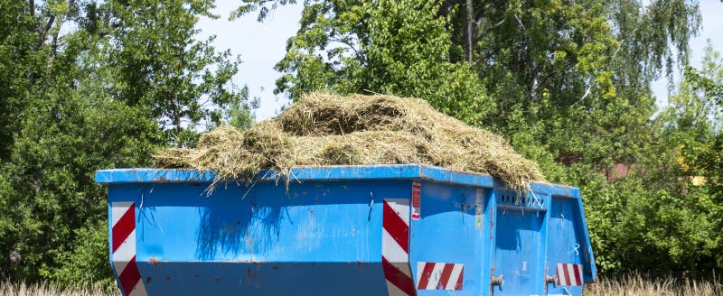 Grass Clippings in the Green Waste Container Stock Image - Image of ...