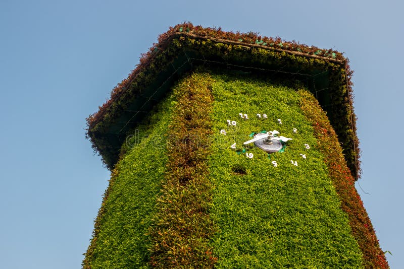 Grass Clock Tower stock photo. Image of spring, grass - 84407466