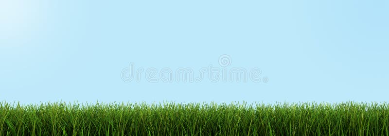 Grass Closeup (clipping Path Included) Stock Illustration ...