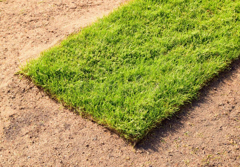 Grass stock image. Image of sign, sample, clean, turf - 40687615