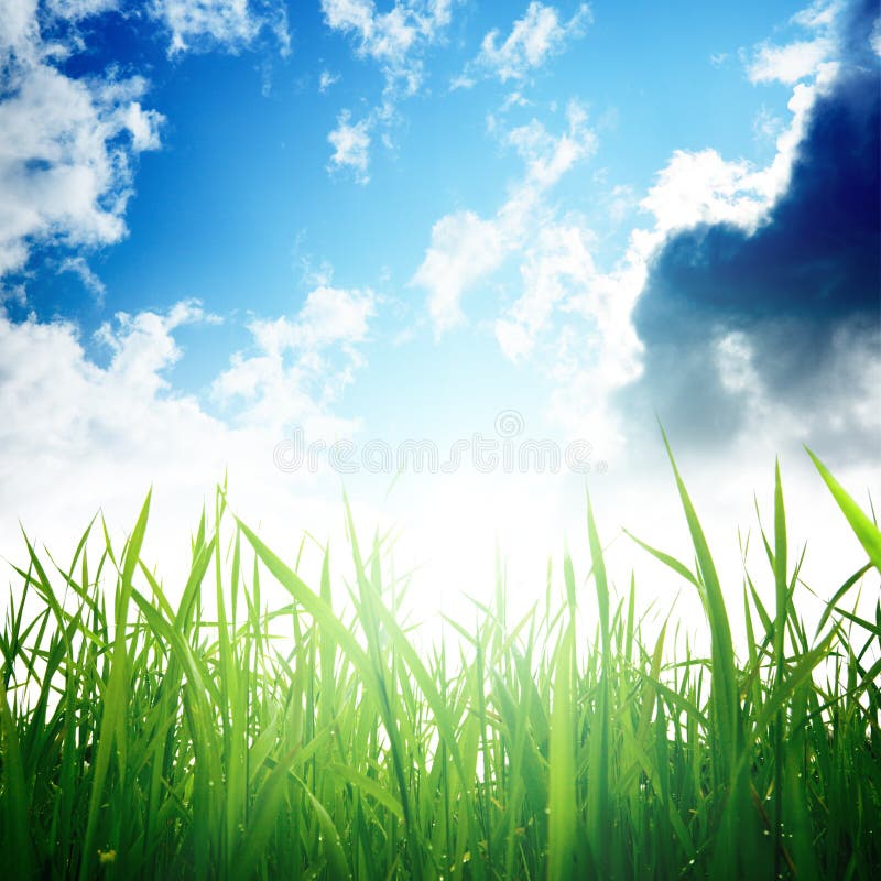 Sky Sun and Grass with Water Drops Stock Image - Image of colorful ...