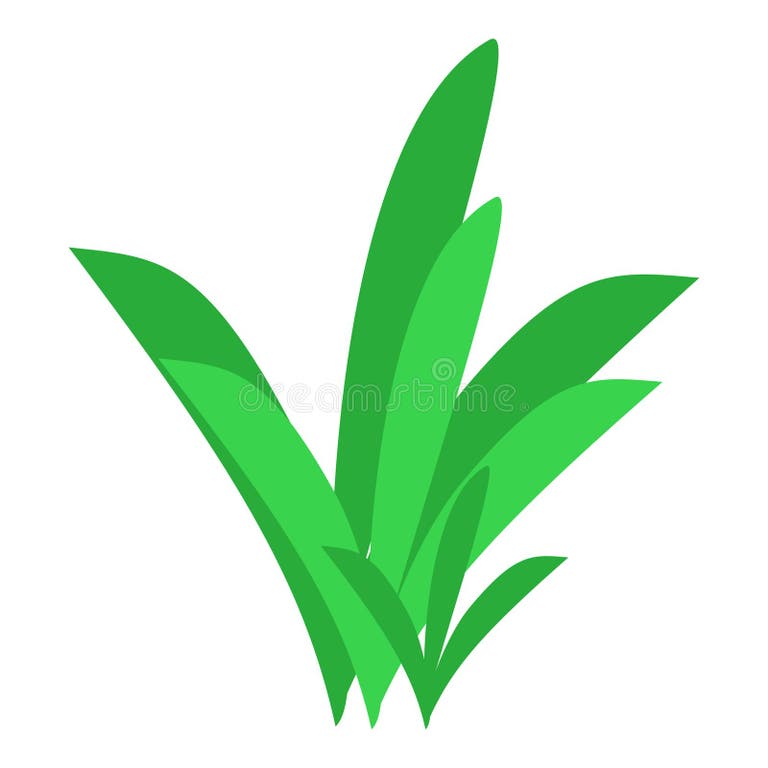 Grass Clump on Transparent Background Stock Vector - Illustration of ...