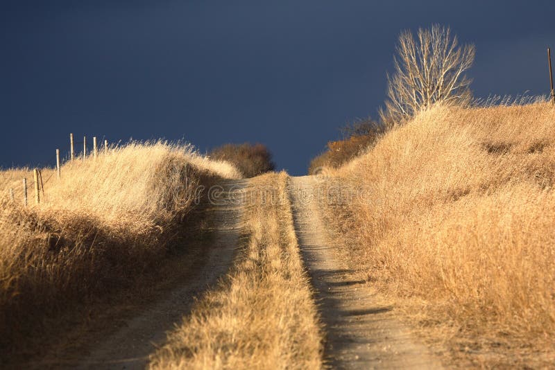 Grass covered country road stock photo. Image of tall - 15427340