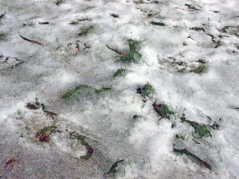 Thaw stock image. Image of grass, thaw, close, snow - 168402873