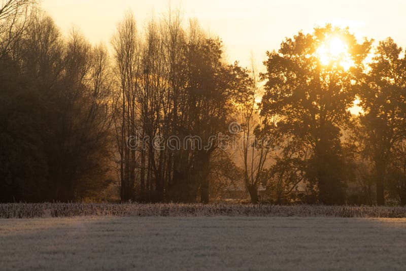Grass Covered with Ice on a Cold Winter Morning Stock Image - Image of ...