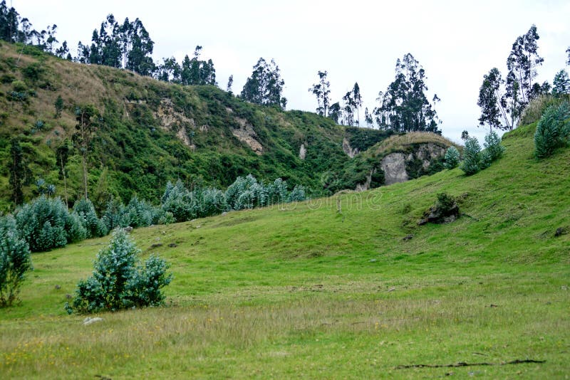 Grass covered slope stock image. Image of green, nature - 173982809