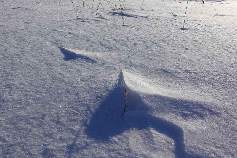 Winter Background. the Snow is Melting and Looking through the Ground ...