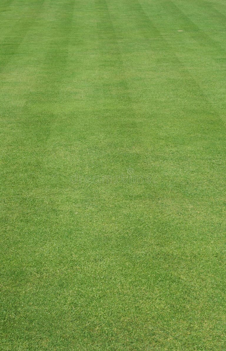 5,550 Lawn Stripes Stock Photos - Free & Royalty-Free Stock Photos from ...