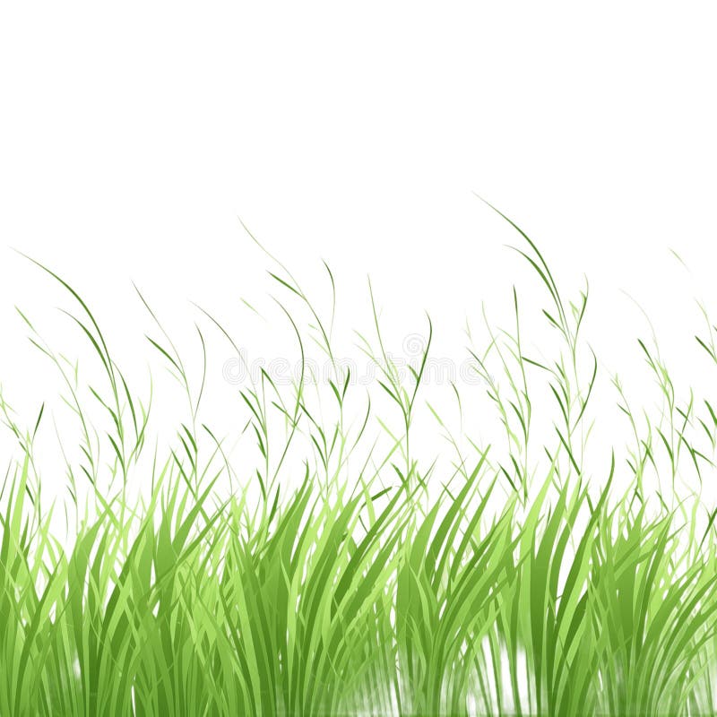 Grass Cutout Isolated on White Background Stock Illustration ...
