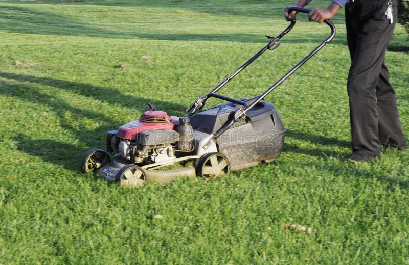 Grass cutter stock image. Image of green, shape, meadow - 6796949