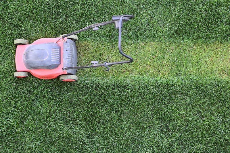 Mowing Lawn Grass stock photo. Image of plant, green - 28577032