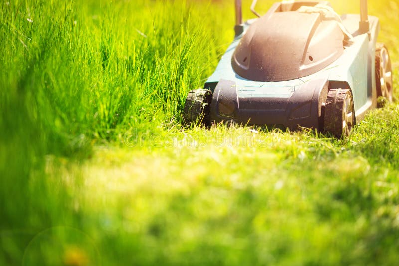 Grass Cutter Mowing the Lawn Stock Image - Image of cultivate, herb ...
