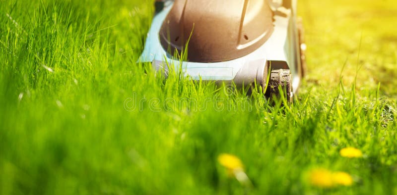 Grass Cutter Mowing the Lawn Stock Photo - Image of closeup, herb: 93604618