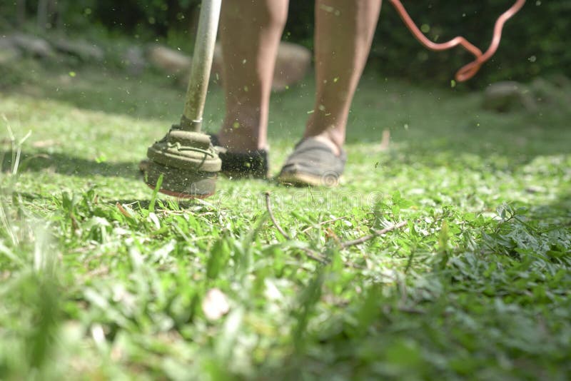 Grass Cutting. Man Using Electric Grass Trimmer To Mow Lawn Stock Image ...