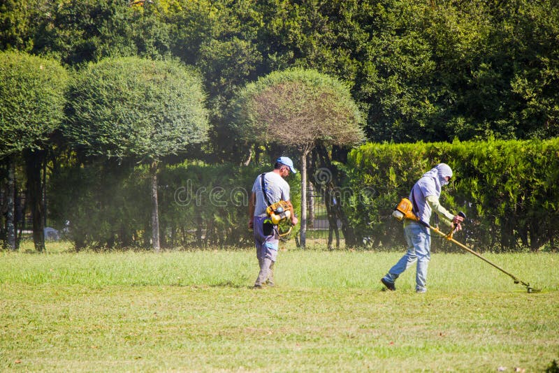 Grass Cutting Process, Worker Cutting Grass with Machine Editorial ...