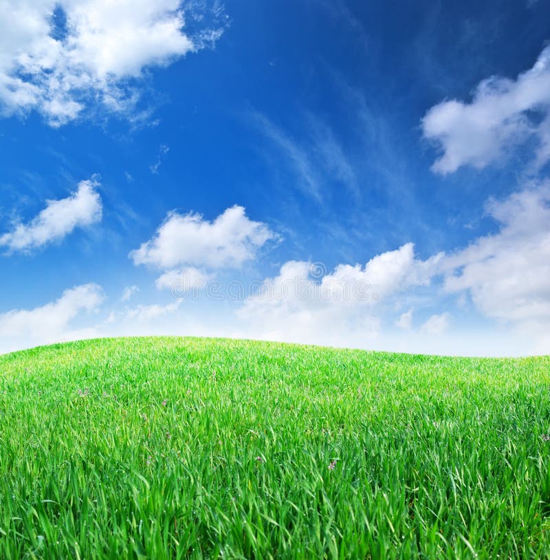 Green Grass Field and Bright Blue Sky Stock Photo - Image of idyllic ...