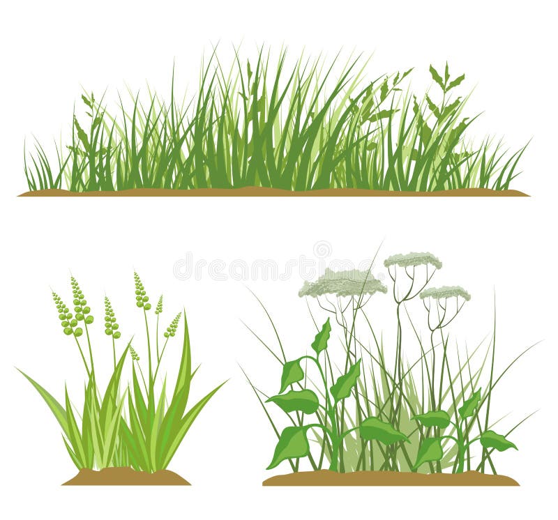 Grass Design Elements stock illustration. Illustration of graphic ...