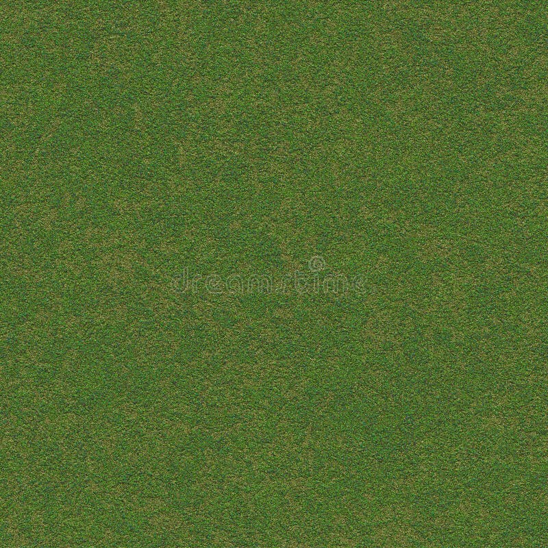 Grass dirt mix stock image. Image of grassland, dirtmix - 264419029