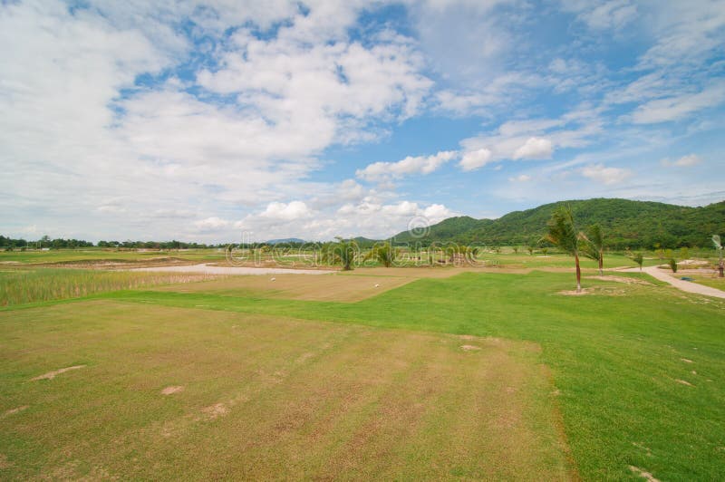 Grass on dry lawn stock photo. Image of lawn, farm, beautiful - 75796206