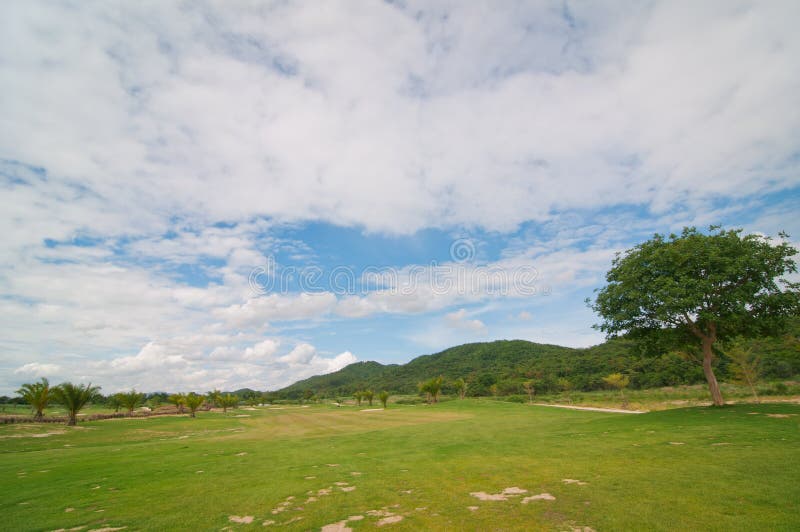 Grass on dry lawn stock image. Image of farm, lawn, sightseeing - 76593927