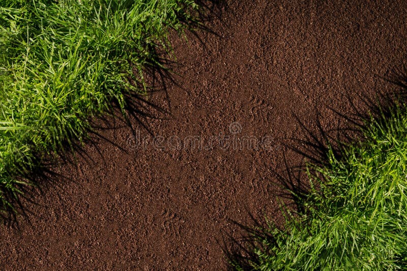Grass, earth stock photo. Image of nature, healthy, sport - 108053152
