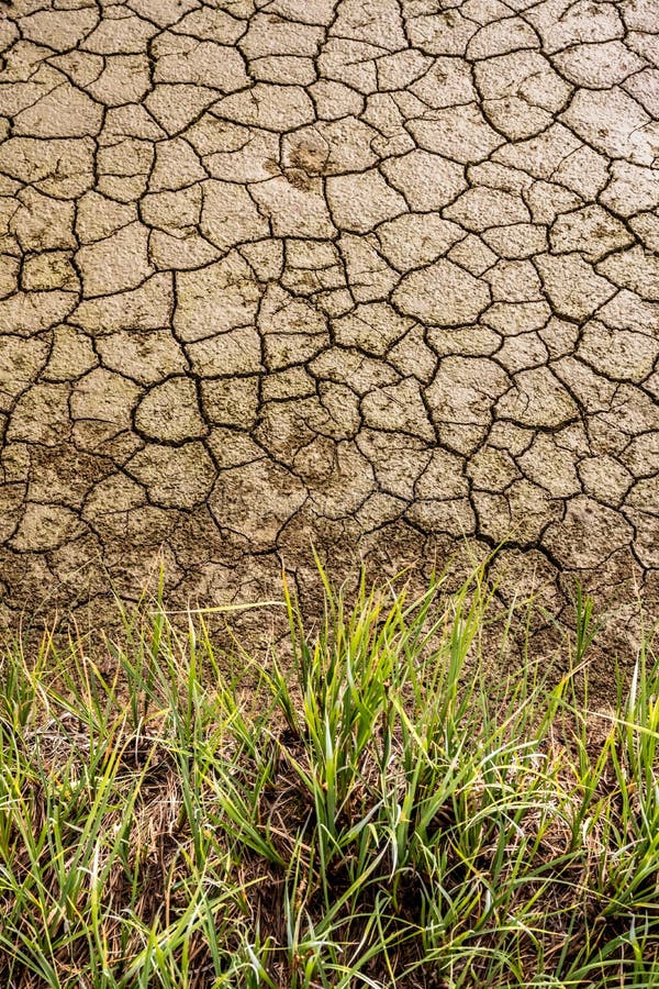 665 Swamp Pit Stock Photos - Free & Royalty-Free Stock Photos from ...