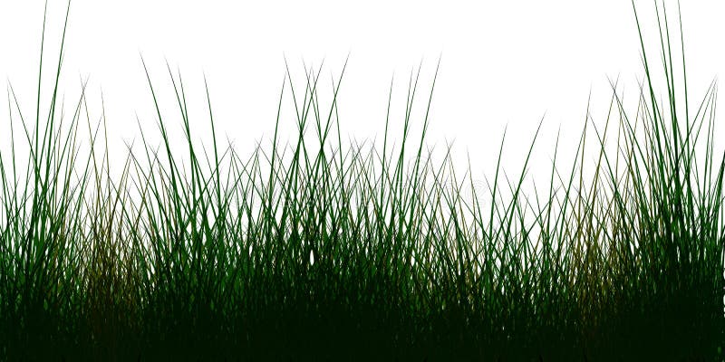 Grass elements stock vector. Illustration of color, frame - 4348396