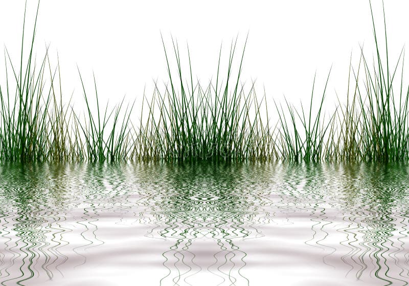 Grass elements stock illustration. Illustration of pure - 5595970