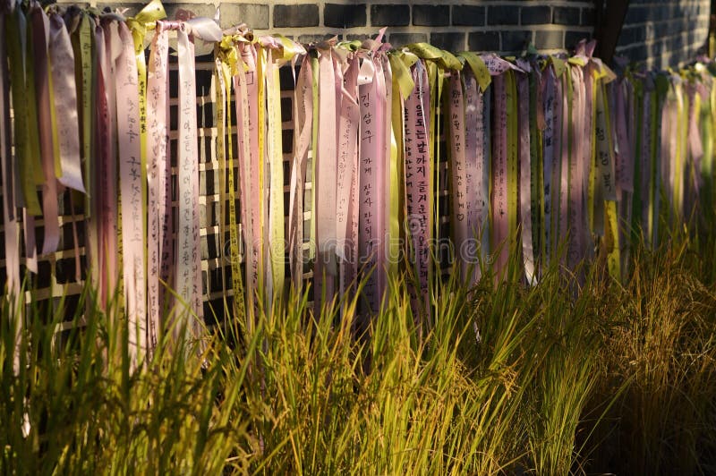 Family Tree. Picture Image: 19886092